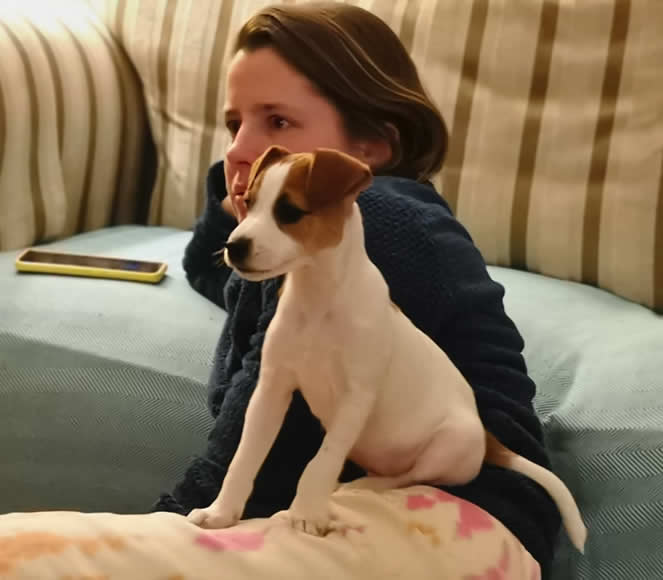 DOG FAMILY - Auldtoby Kennels